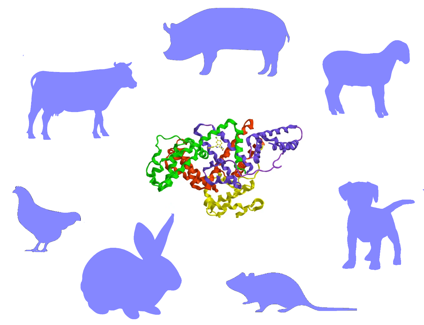 Serum Albumins for cell culture, enzyme stabilization, western blotting ...