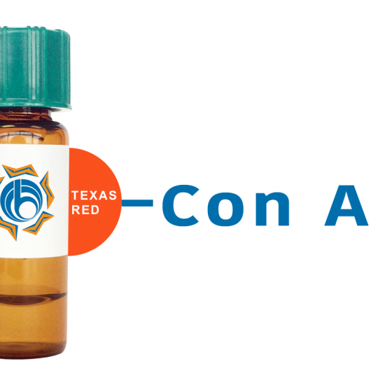 Concanavalin A Lectin (Con A) - Texas Red | bioWORLD