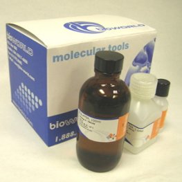 Innovative DNA, RNA, and PCR Reagents | Buy Now and Excel! | bioWORLD