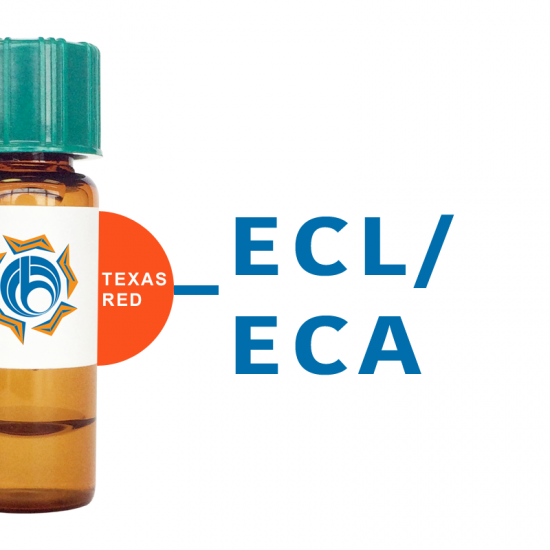 Erythrina cristagalli Lectin (ECL/ECA) - Texas Red | bioWORLD
