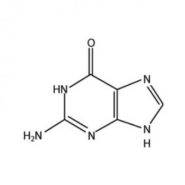 High-Quality Nucleotides, Nucleosides & Analogues | Buy Now! | bioWORLD