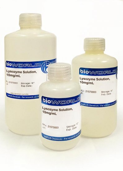 Lysozyme Solution, 10mg/mL | bioWORLD