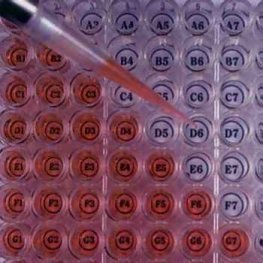 Advance Your Lab Work with High Quality Microplates | Buy Online ...