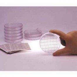 Innovation in Petri Dishes (Petri Plates) | Order Online! | bioWORLD