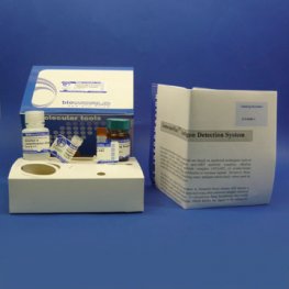 Innovation in Protein Kits: Discover Our Offerings | Buy Now! | bioWORLD