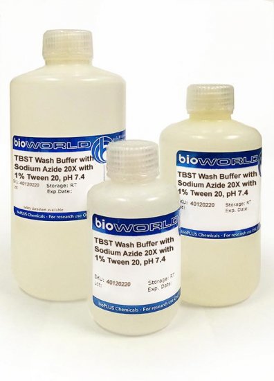 TBST Wash Buffer with Sodium Azide 20X with 1% Tween 20, pH 7.4 | bioWORLD