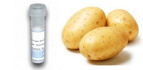 Glycobiology - Lectins / Glycoproteins, Glycan Recognizing Proteins ...