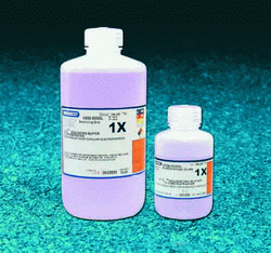 Buy Electrophoresis & Blotting Buffers | bioWORLD
