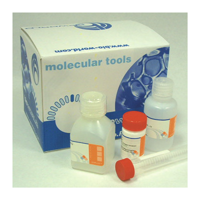 Explore a Wide Array of Lab Biokits | Buy with Confidence! | bioWORLD