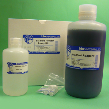 Bradford Protein Assay Kit | Biological Kits | bioWORLD