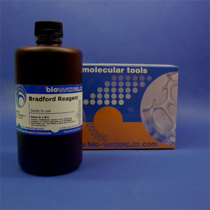 Bradford Reagent (Ready-to-Use) | Stains and Dyes | bioWORLD