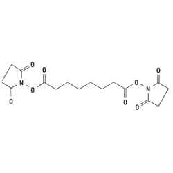 Buy High-Quality Linkers | Succinimide | bioWORLD