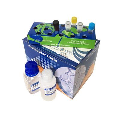 Glycoprotein Isolation Kit - PSA/PSL Mannose | bioWORLD