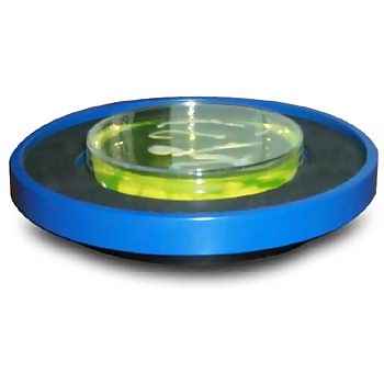 Inoculation Turntable (UniLawn), Dual | Laboratory Essentials | bioWORLD