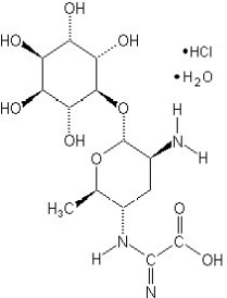 Laboratory Antibiotics | Ampicillin, Apramycin | bioWORLD