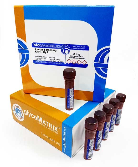 Lectin Screening Kit 1 - Cy3 | bioWORLD