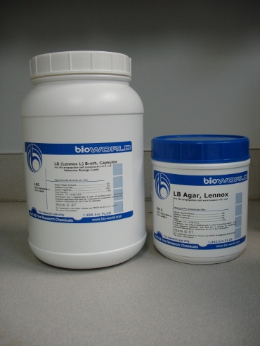 Luria-Bertani (LB) Agar, Lennox | Microbiological Media | bioWORLD