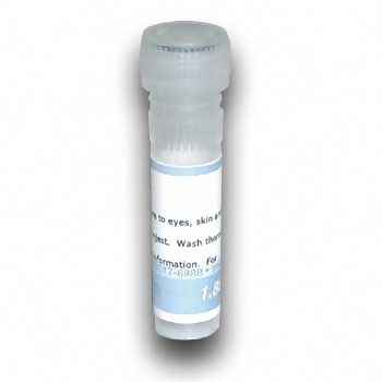 Precision Molecular Weight Markers | Order Today! | bioWORLD