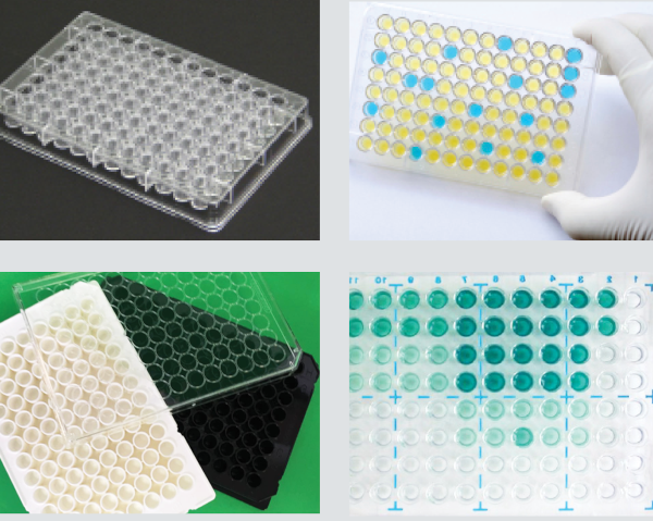 Premade Plates and Tubes: Elevate Your Lab Research | Buy Now! | bioWORLD