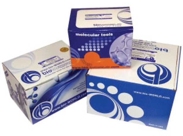 Maximize Lab Efficiency with High-Quality Biological kits | Shop Now ...